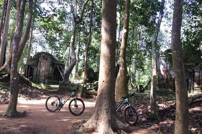 Private Siem Reap Countryside Cycling Tour - Who Will Love This Tour?