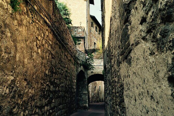 Private Siena and San Gimignano Tour with Wine Tasting From Rome - An In-Depth Look at the Experience