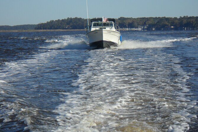 Private Sightseeing Boat Tour in Savannah - An In-Depth Look at the Experience