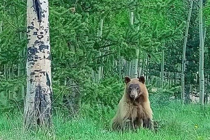 Private Sightseeing Bronco Tour in Cripple Creek, Colorado - FAQ