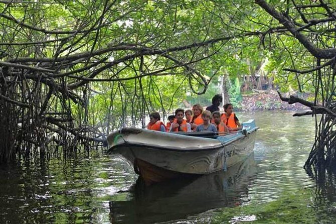 Private sightseeing Day Tour from Colombo to visit Galle city of Sri Lanka - An In-Depth Look at the Experience