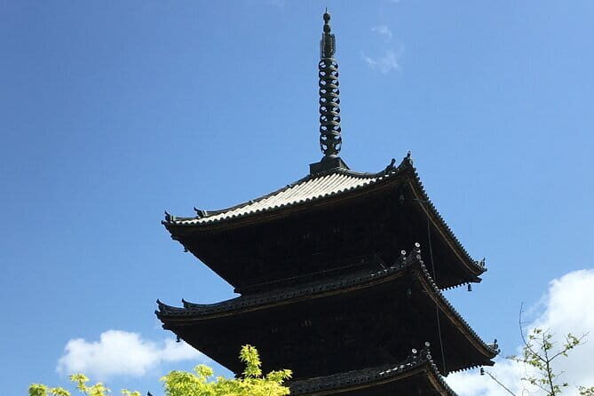 Private Sightseeing Guided Tour in Kyoto - The Experience from Traveler Feedback