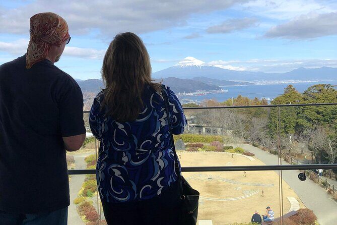 Private Sightseeing Tour from Shimizu Port / Sedan Taxi - The Sum Up