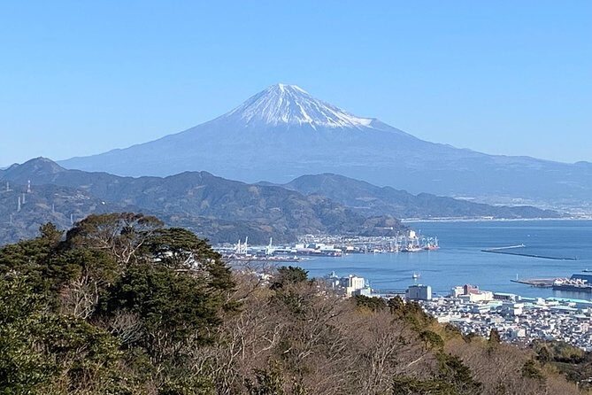 Private sightseeing tour from Shimizu Port / Van Taxi - Key Points