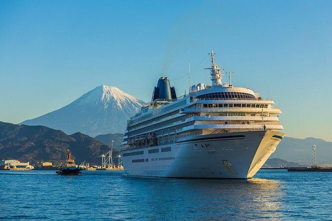 Private sightseeing tour from Shimizu Port / Van Taxi - What Makes This Tour Stand Out