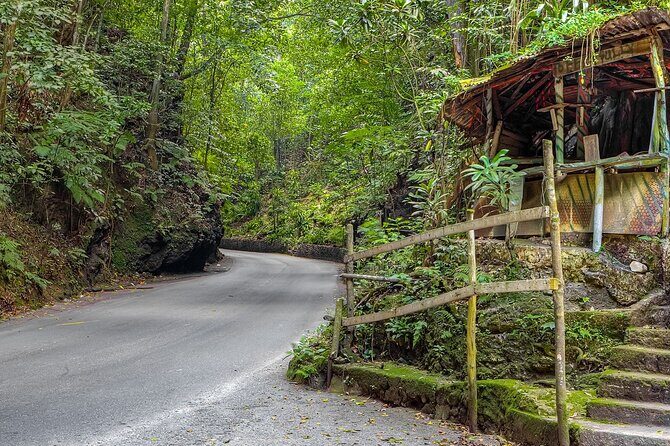 Private Sightseeing Tour in & Around Ocho Rios - Who Should Book This Tour