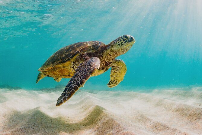 Private Sightseeing Tour in Nassau with Lunch - Practical Details & Tips