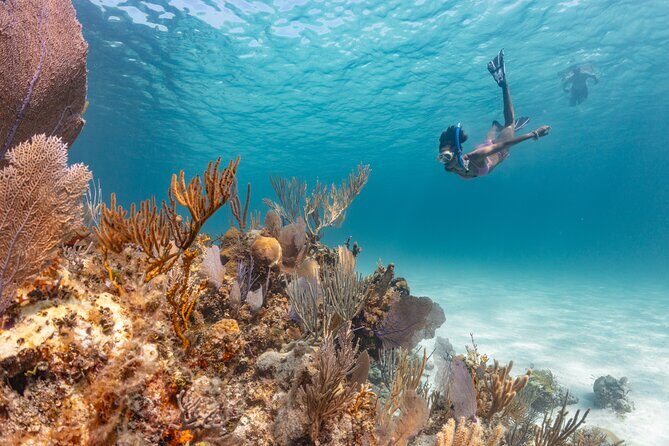 Private Sightseeing Tour in Nassau with Lunch - Final Thoughts