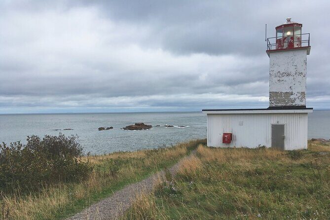 Private Sightseeing Tour In Saint John - The Reversing Rapids: A Natural Wonder