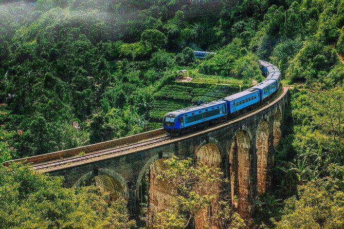 Private Sightseeing Tour in Sri Lanka - Nuwara Eliya: "Little England" for a Day