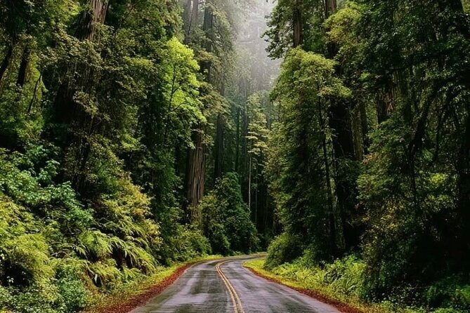 Private Sightseeing Tour in Victoria Canada - Victoria’s Chinatown