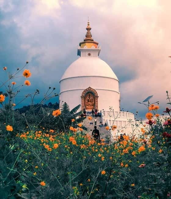 Private Sightseeing Tour of Pokhara city - What to Expect from the Tour