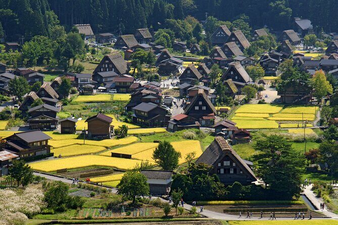 Private Sightseeing Tour to Shirakawago and Takayama from Nagoya - The Transportation: Comfort and Convenience