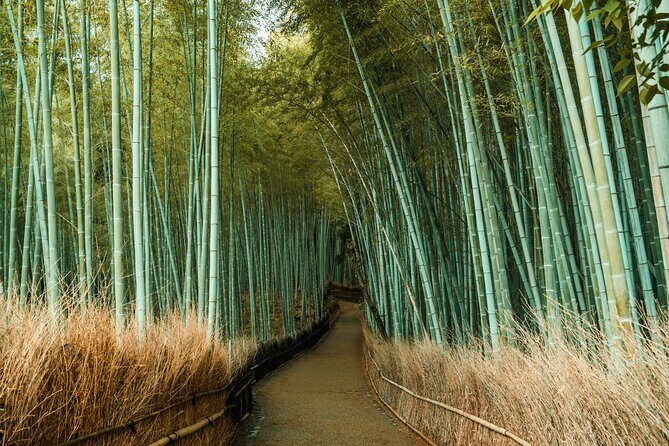 Private Sightseeing Tour Visit in Kyoto with Transfer Included - The Sum Up