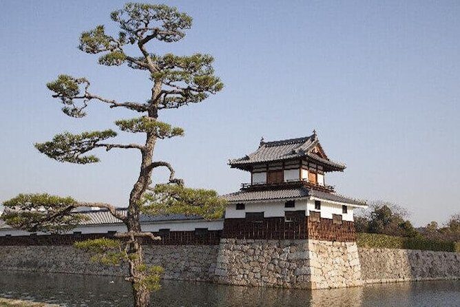 Private Sightseeing Walking Tour in Hiroshima with a Guide - Final Thoughts