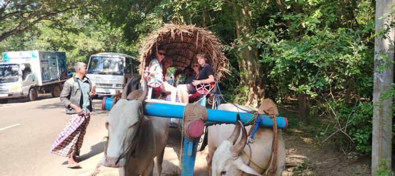 Private Sigiriya Day Tour from Kandy: Temples & Elephants - Wildlife Encounters: Elephants or Rural Life
