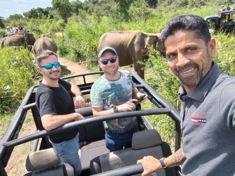 Private Sigiriya Day Tour from Kandy: Temples & Elephants - Scenic Relaxation and Cultural Insights