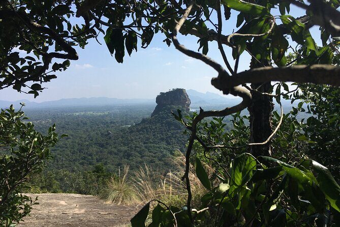 Private Sigiriya Tour from Kandy to Dambulla & back to Kandy - An In-Depth Look at the Experience
