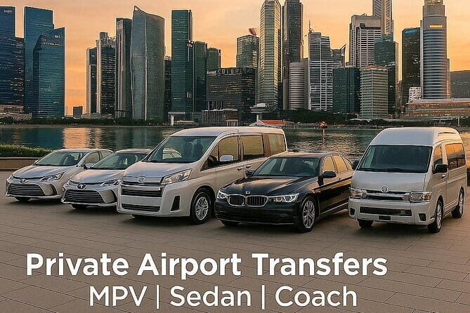 Private Singapore Arrival Transfer: Airport or Cruise Terminal to City - Why Choose This Transfer?