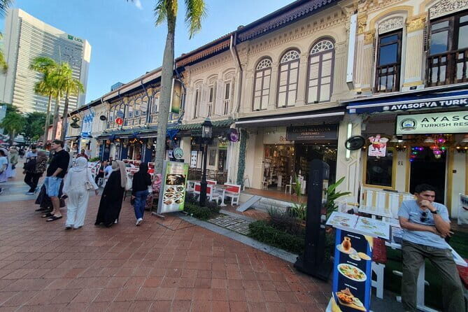 Private Singapore Car Tour with Driver Licensed Guide - Who Should Consider This Tour?