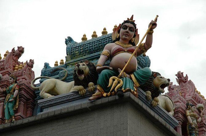 Private Singapore Chinatown, Little India and Temples Guided Tour - Transit, Timing, and What You Can Expect