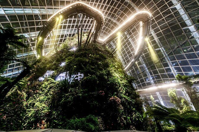 Private Singapore Night Tour with Gardens by the Bay&River Cruise - Key Points