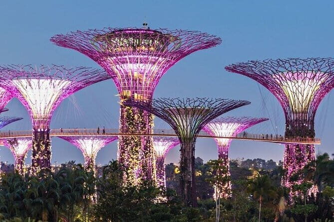 Private Singapore Panoramic Sightseeing City Drive - Final Thoughts