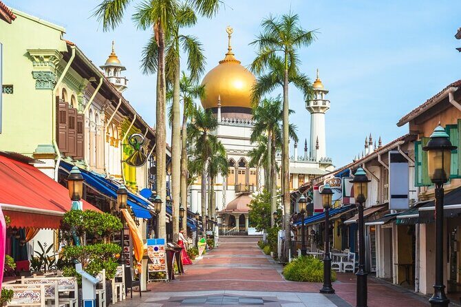 Private Singapore Tour Chinatown with Little India and Kampong - The Sum Up: Who Is This Tour Best For?