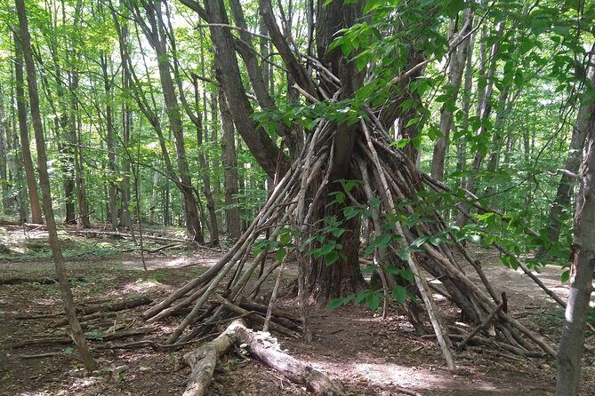 Private Singhampton Caves Hiking Tour, Collingwood/Blue Mountain - FAQ