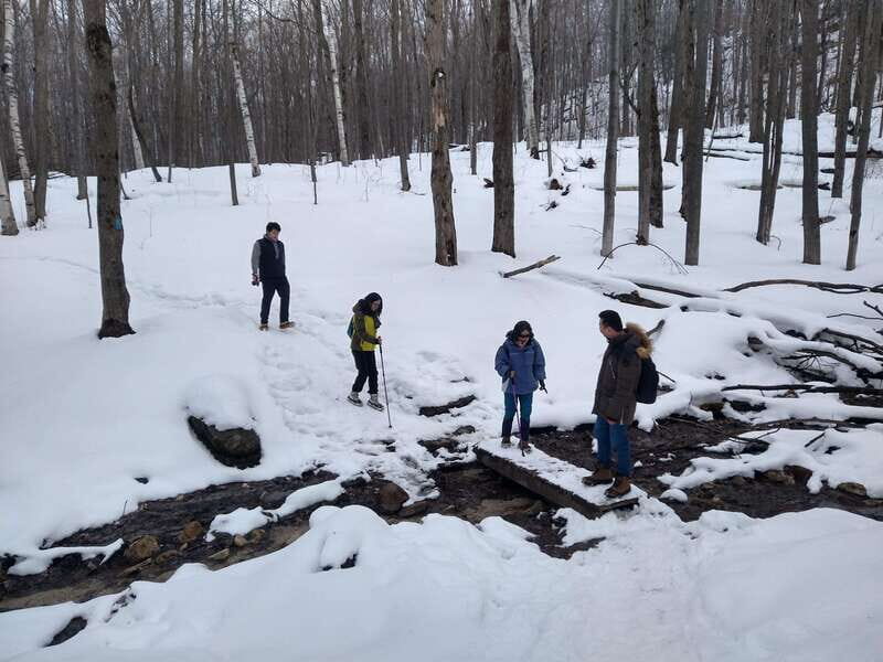 Private Singhampton Caves Snowshoe-Collingwood/Blue Mountain - FAQ