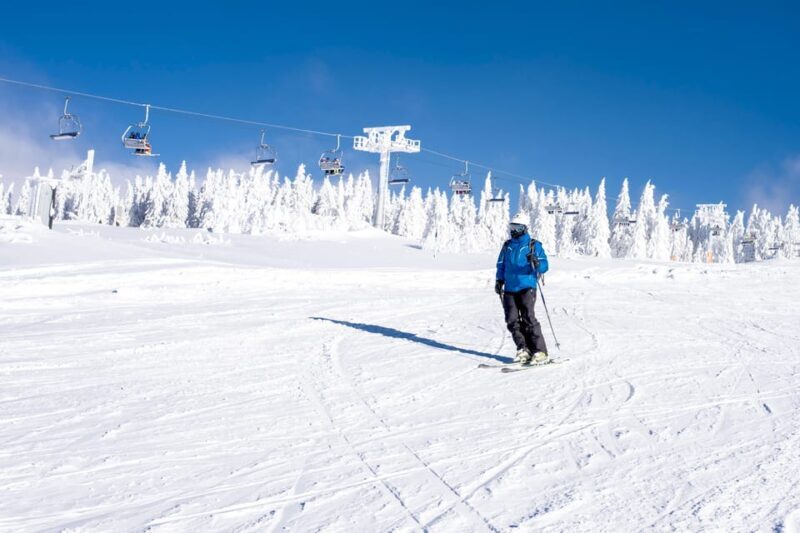 Private ski adventure with instructor in the Alps - Key Points