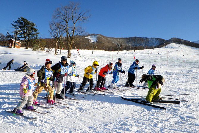 Private ski lesson for family or group(Transport included ) - Setting the Stage: What to Expect from the Tour