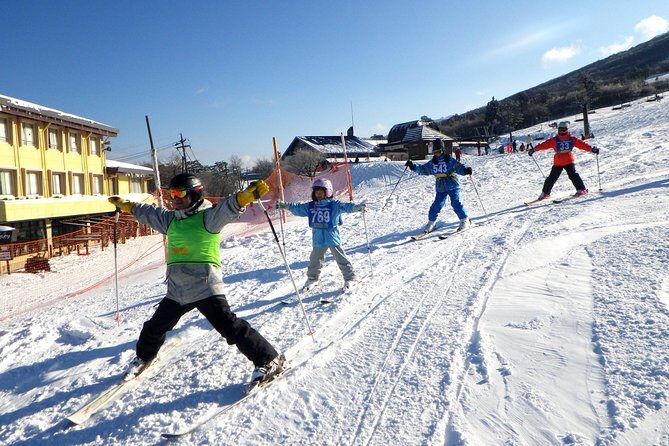 Private ski lesson for family or group(Transport included ) - FAQ