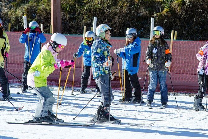 Private Ski Tour to Jisan, Vivaldy or Elysian Ski Resort - Authentic Experiences and Feedback