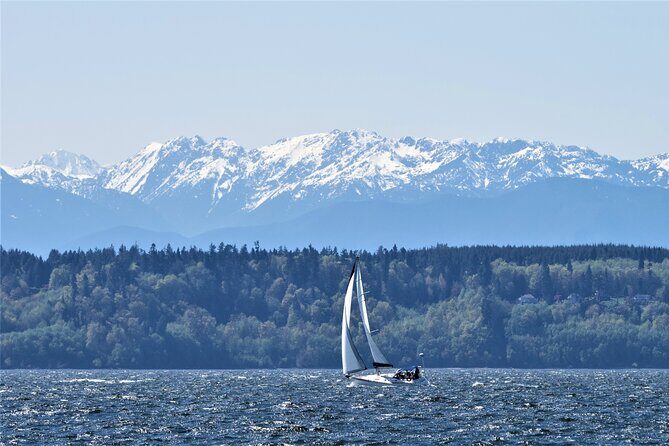 Private Skippered Charters in Puget Sound - Who Is This Tour Best Suited For?