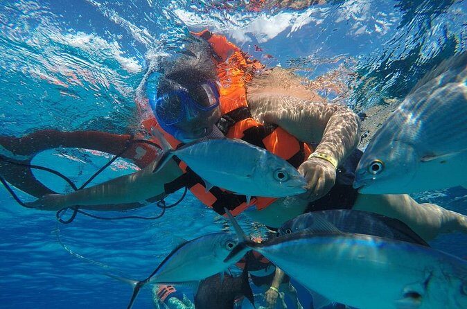 Private Sky Snorkeling Tour - Frequently Asked Questions