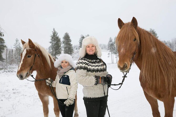 Private Sleigh Ride with Finnhorse - An Authentic Arctic Joy Ride with Cultural Roots