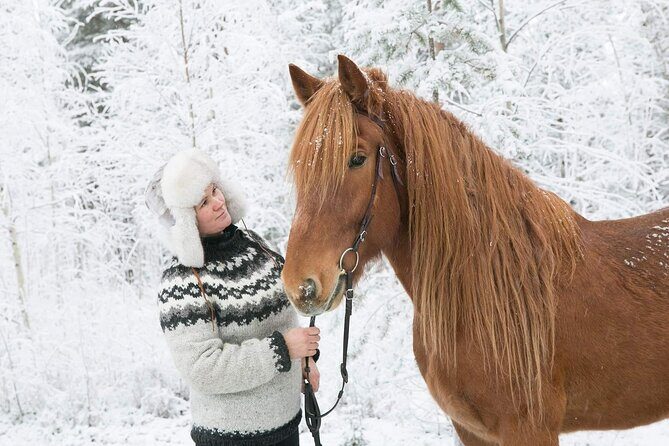 Private Sleigh Ride with Finnhorse - Comfort and Hospitality
