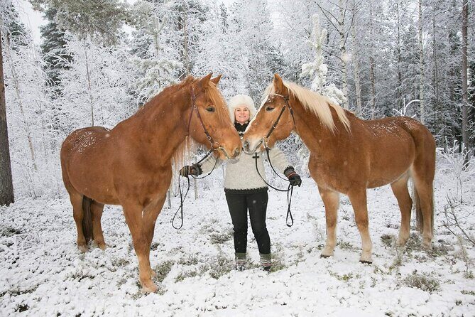 Private Sleigh Ride with Finnhorse - Logistics and Practical Details