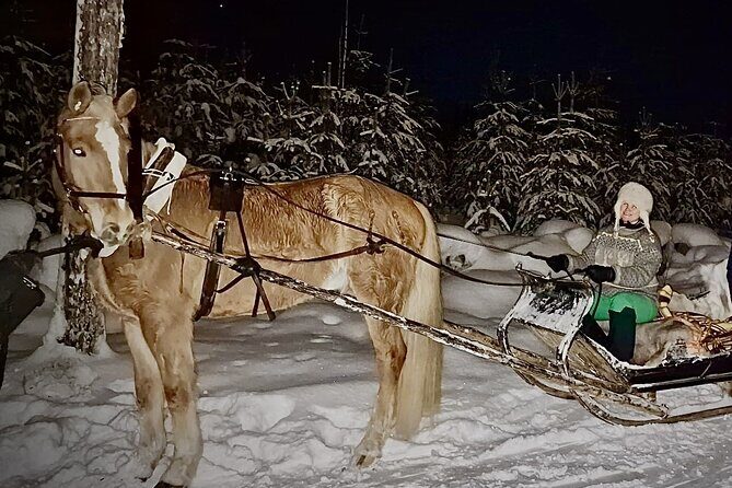 Private Sleigh Ride with Finnhorse - Insights from Travelers and Reviews