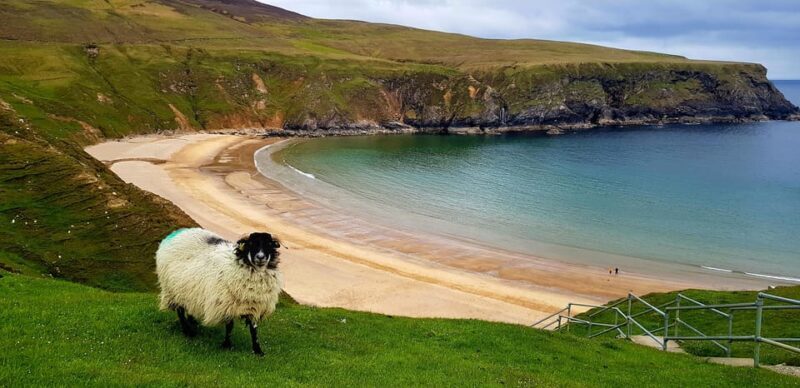 Private Slieve League & Donegal Day Tour - The Sum Up
