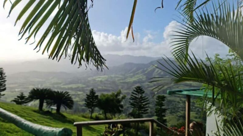 Private: Small-Group Half-Day Trip to Montaña Redonda - Key Points