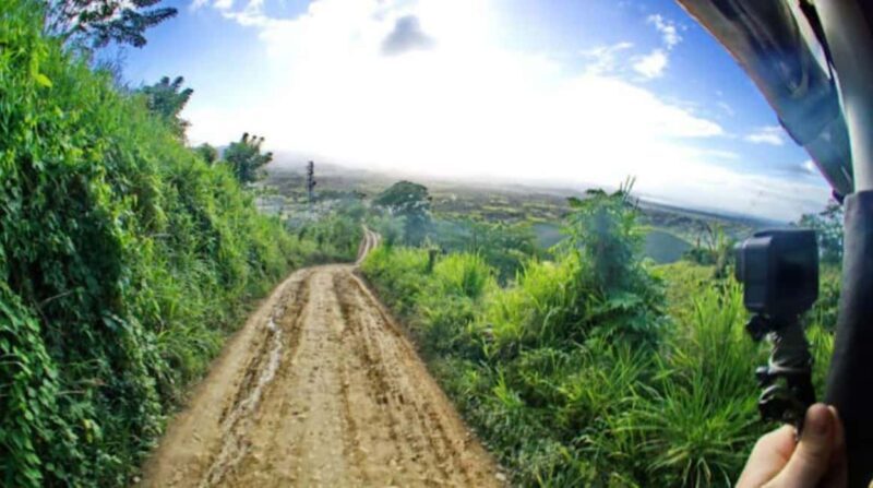 Private: Small-Group Half-Day Trip to Montaña Redonda - Final Thoughts: Who Is This Tour Best For?