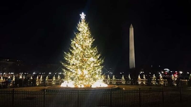 Private Small-Group Night Tour with 10 Stops & Hotel Pick-Up - The Experience of Seeing Monuments at Night