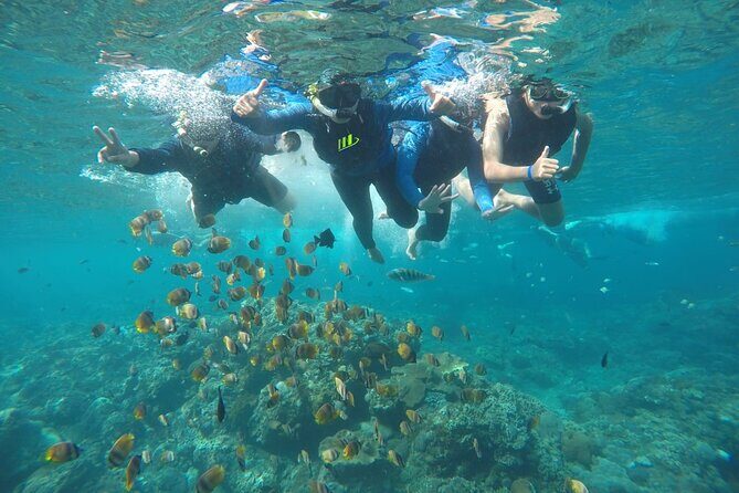 Private Small Group Snorkeling and West Nusa Penida Tour All Inclusive from Bali - Snorkeling Spots: Underwater Wonders