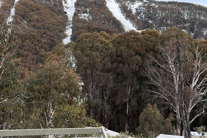 Private Small Group Snow and Ski Tour to Mt Buller - Final Thoughts: Is This Tour Right for You?