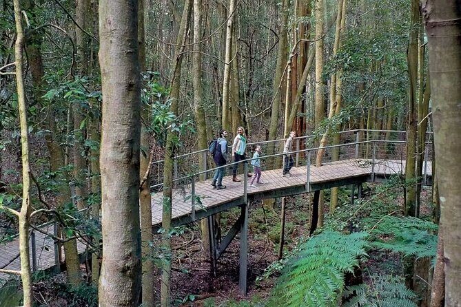 Private Small Group Tour in Blue Mountains - Authentic Experiences and Practical Insights