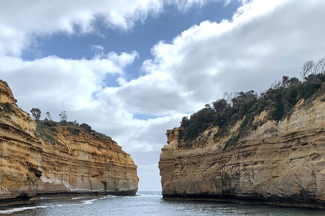 Private Small Group Tour of 2-7pax in Great Ocean Road Melbourne - Key Points