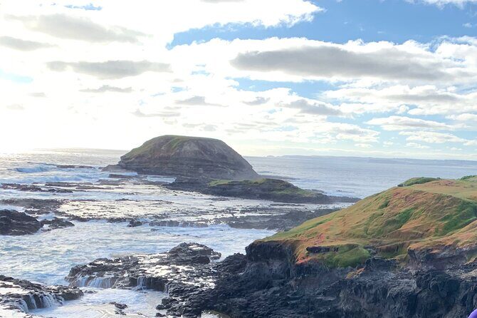 Private Small Group Tour of 2-7pax in Great Ocean Road Melbourne - Why This Tour Offers Great Value