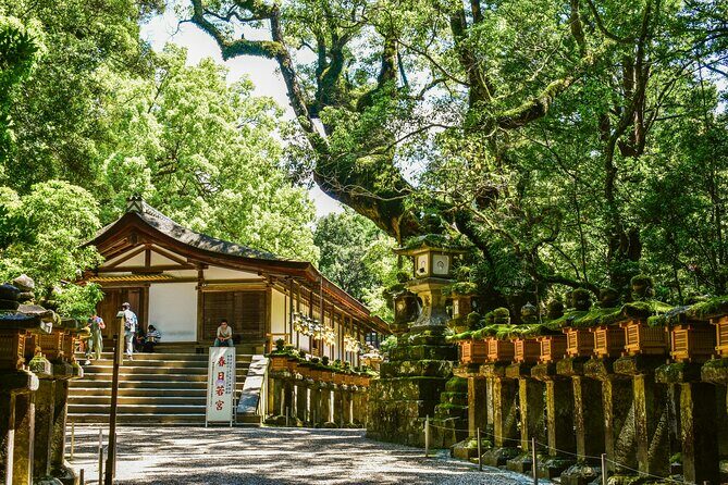 Private Small Tour in Hakone Kanagawa - Discovering Hakone: A Closer Look at the Tour